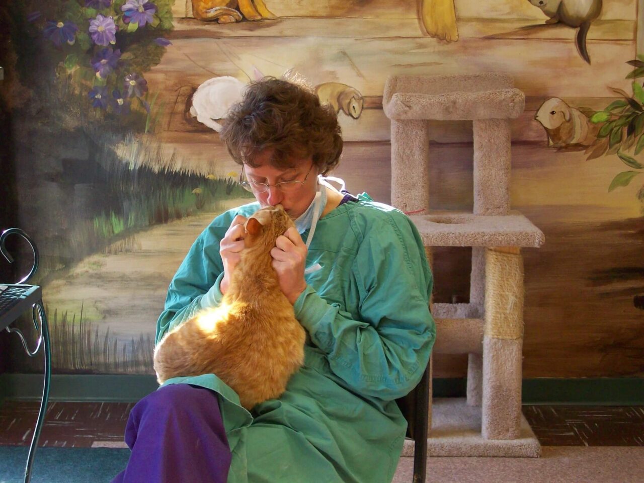 Behavioral Protocols | Belle Plaine Animal Hospital